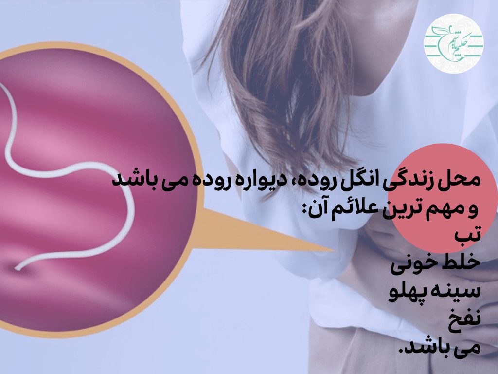 علائم و درمان انگل در بزرگسالان - عطاری آنلاین حکیم باشیم